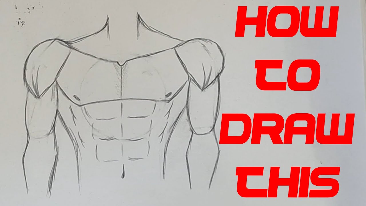 How To Draw Muscles (Easy) - DrawTokyo - YouTube