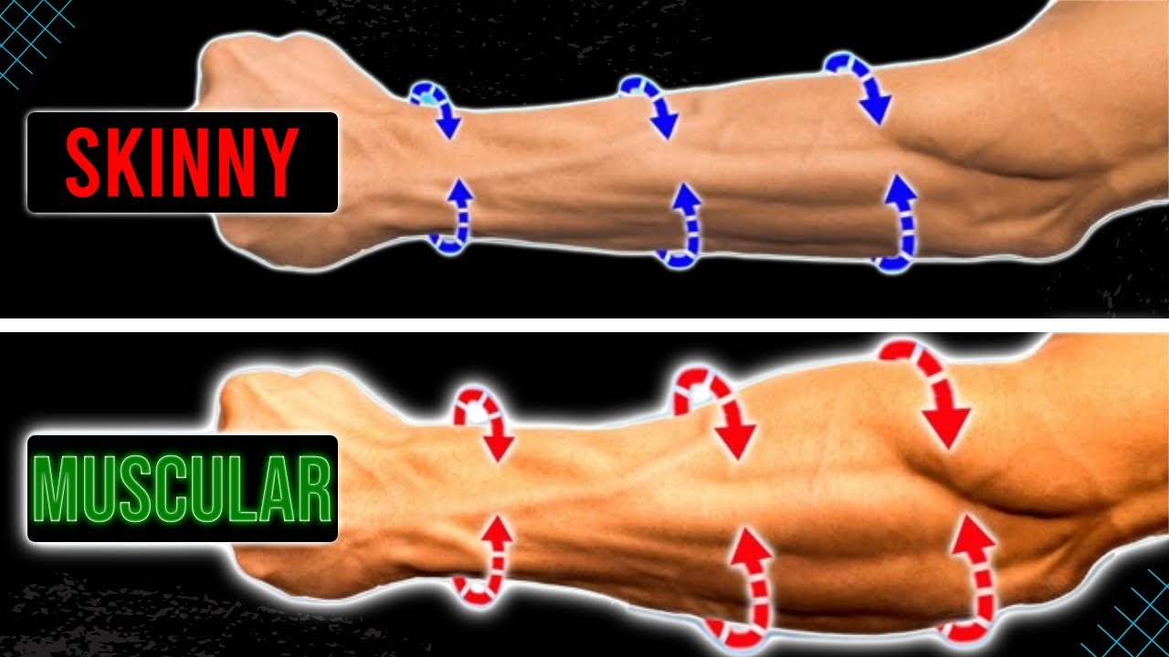 Get Bigger Forearms with These Secrets (Skinny Guys MUST Watch) - YouTube