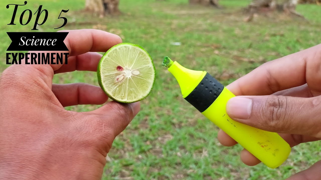 Top 5 Science Experiment At Home YouTube top-5-science-experiment-at-home-youtube