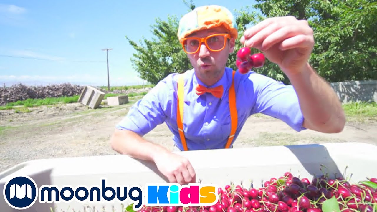 Blippi Explores a Cherry Farm! | Learn about Heathy Snacks | Blippi ...