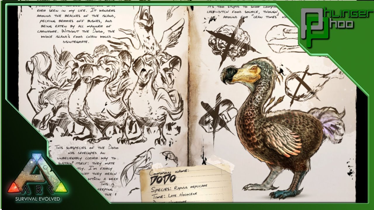 Ark Basics DODO - EVERYTHING YOU NEED TO KNOW! - YouTube