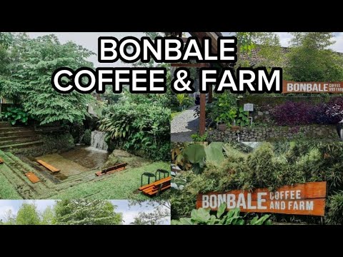 TEMPAT HEALING DI JOGJA!!! BONBALE COFFEE & FARM - YouTube