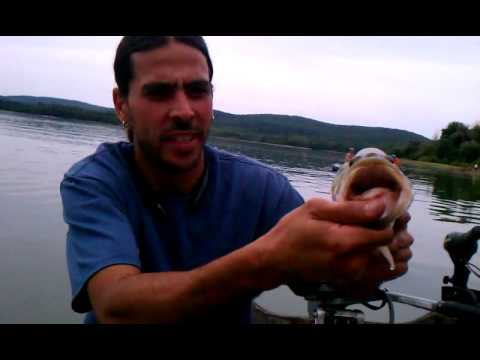 Spruce Run Bass fishing - YouTube