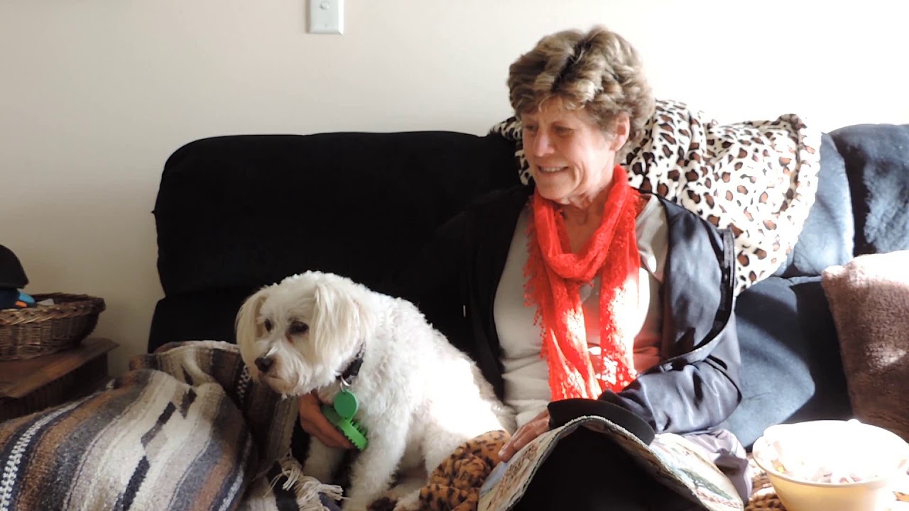 How My Dog Survived Cancer - YouTube