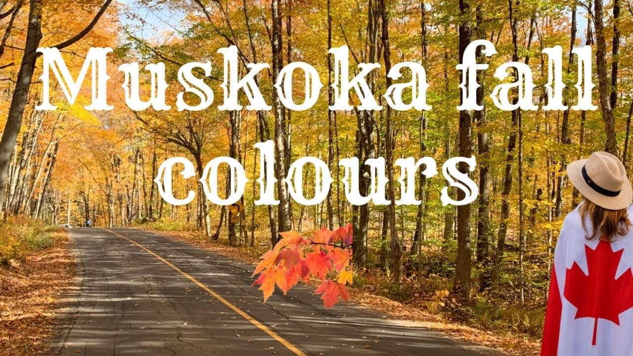 Visit to Muskoka, ON for Fall Color - YouTube