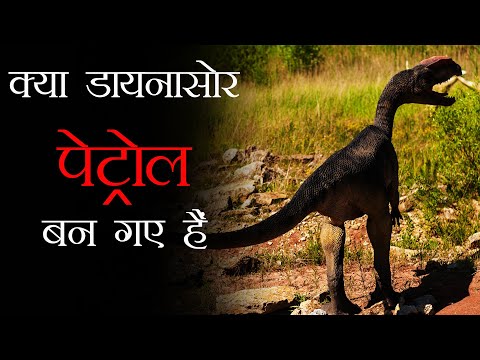 How Fossil Fuels Are Formed In Hindi