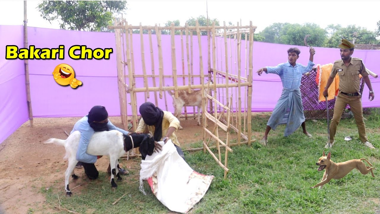 Bakari Chor New Viral Comedy Video 2023 | PART - 2 - YouTube