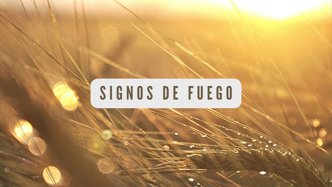 Características de los signos de FUEGO 🔥: Aries ♈, Leo ♌ Y Sagitario ♐ ...