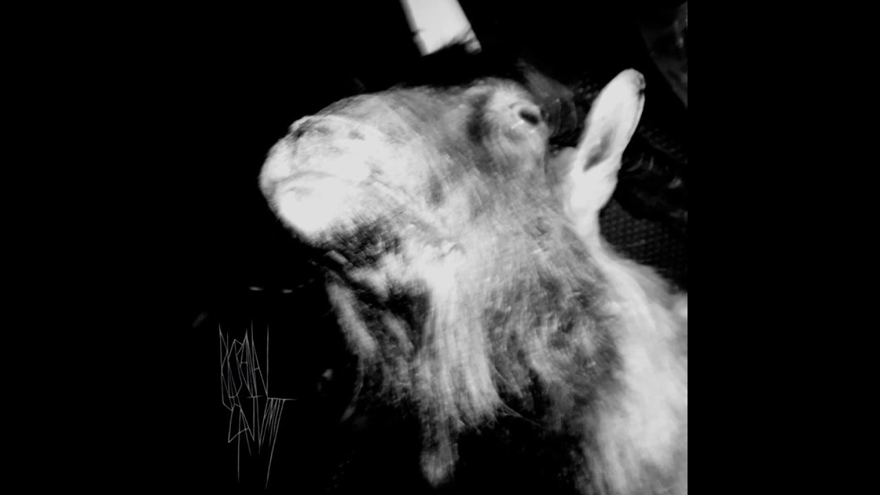 Black Anal Goat Vomit - BAGV - YouTube