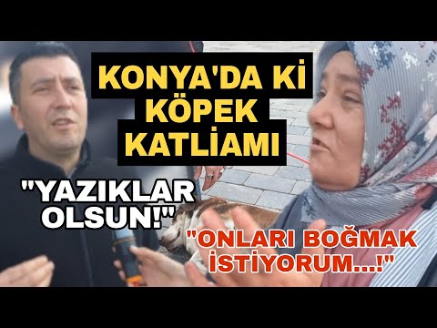 HALKTAN İNANILMAZ BÜYÜK TEPKİ!!! KONYADAKİ KÖPEK KATLİAMI#köpek #sokakröportajları   #hayvanhakları