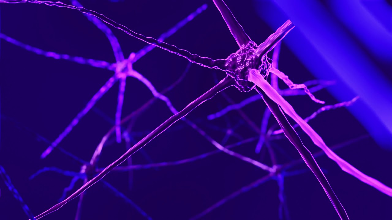 Neuron Structure - 3D Animation - YouTube