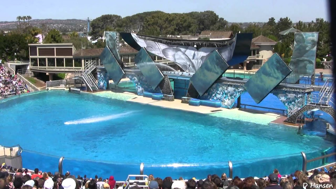 SeaWorld's Shamu "Believe" Show - YouTube