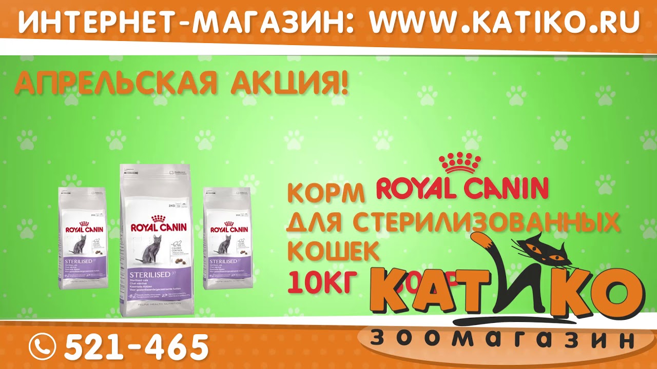 Зоомагазин Катико - YouTube