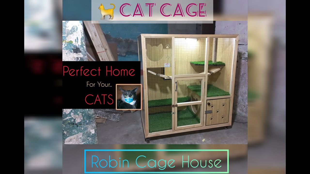 Perfect Cat House Design || Cat Cage | Cat Villa - YouTube