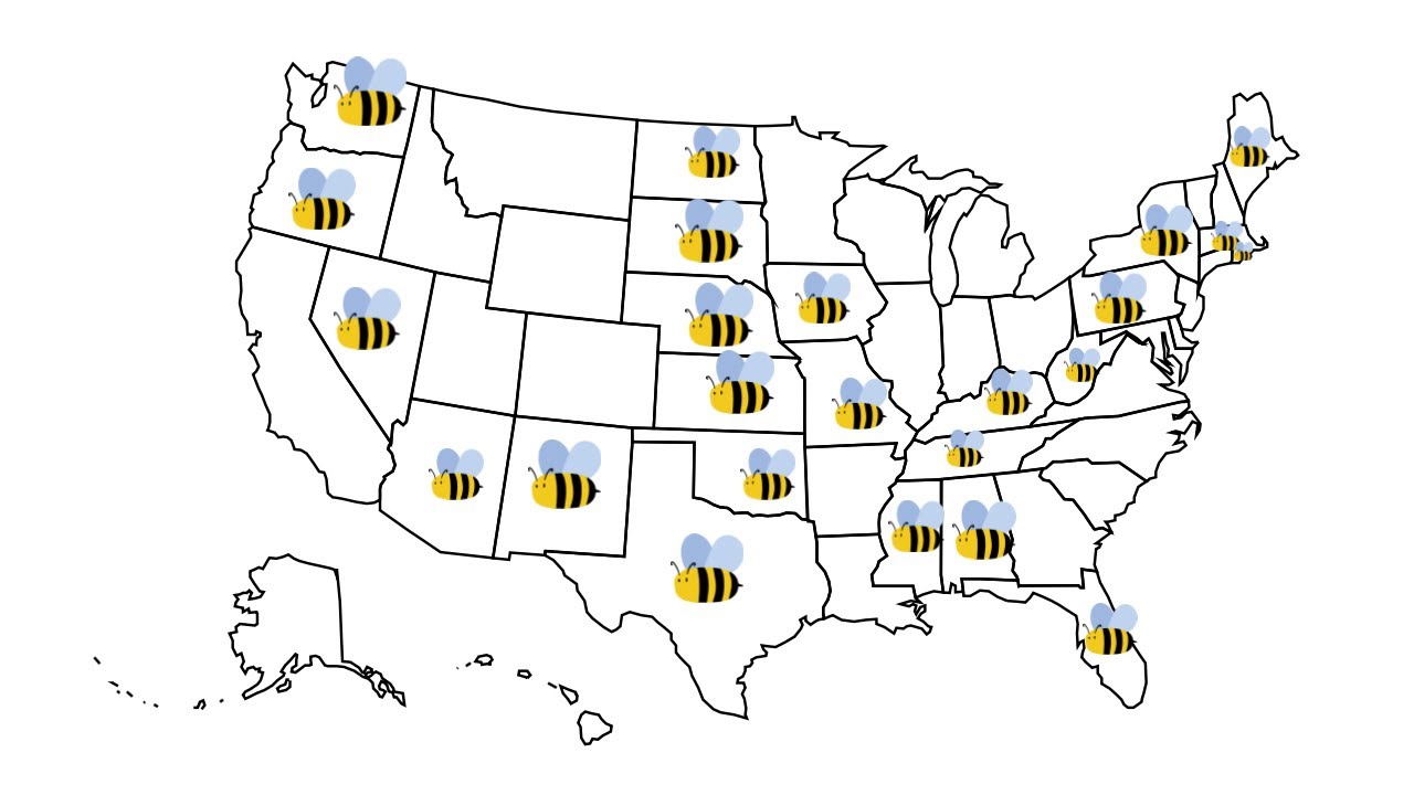 IS YOUR STATE ON THE MAP? Crochet Hat Challenge! BMO update in ...