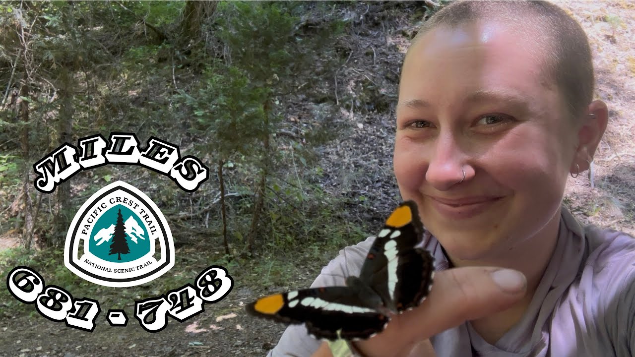 Miles 681 - 748 on the Pacific Crest Trail! - YouTube