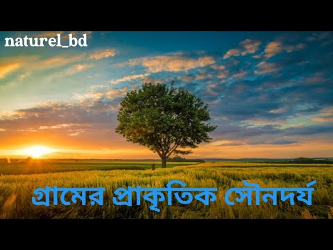 আমাদের গ্রামের দৃশ্য কেমন দেখতে হয় | amader gramer dresho onek sundor ...