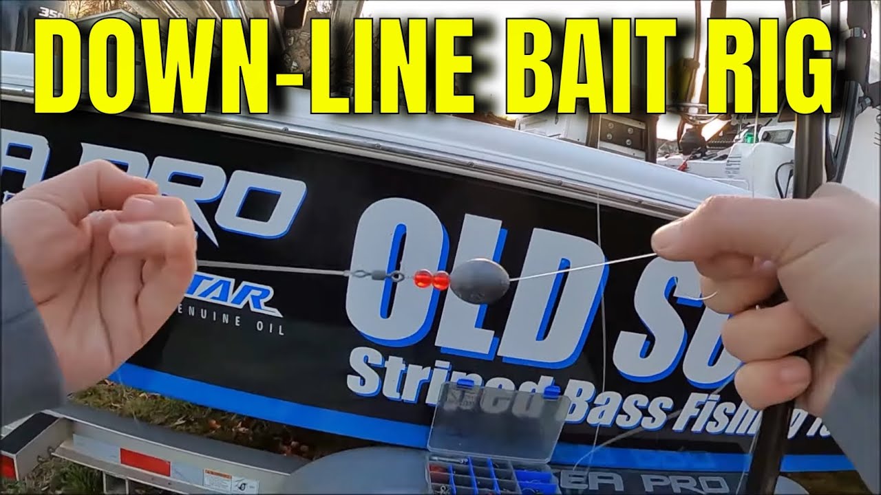 SIMPLE Fishing Rig Catches HUGE NUMBERS NOW! Striper fishing Rigs ...