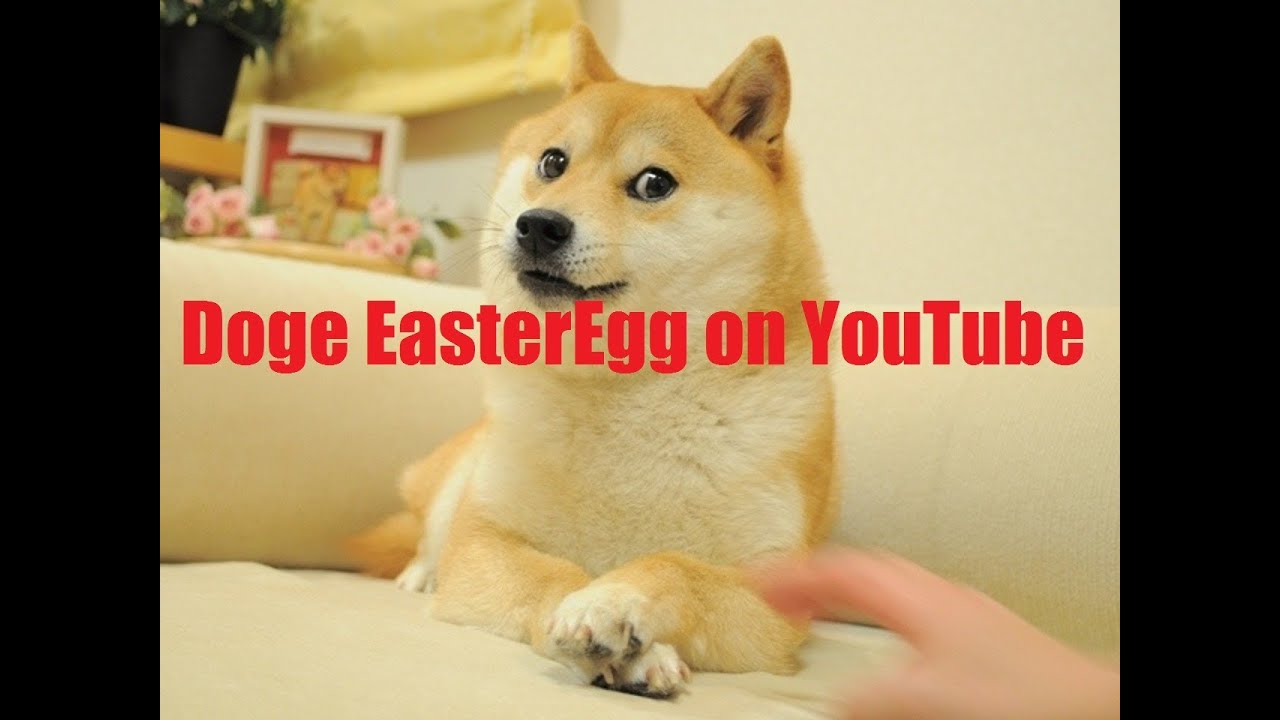 Doge Meme EasterEgg! - YouTube