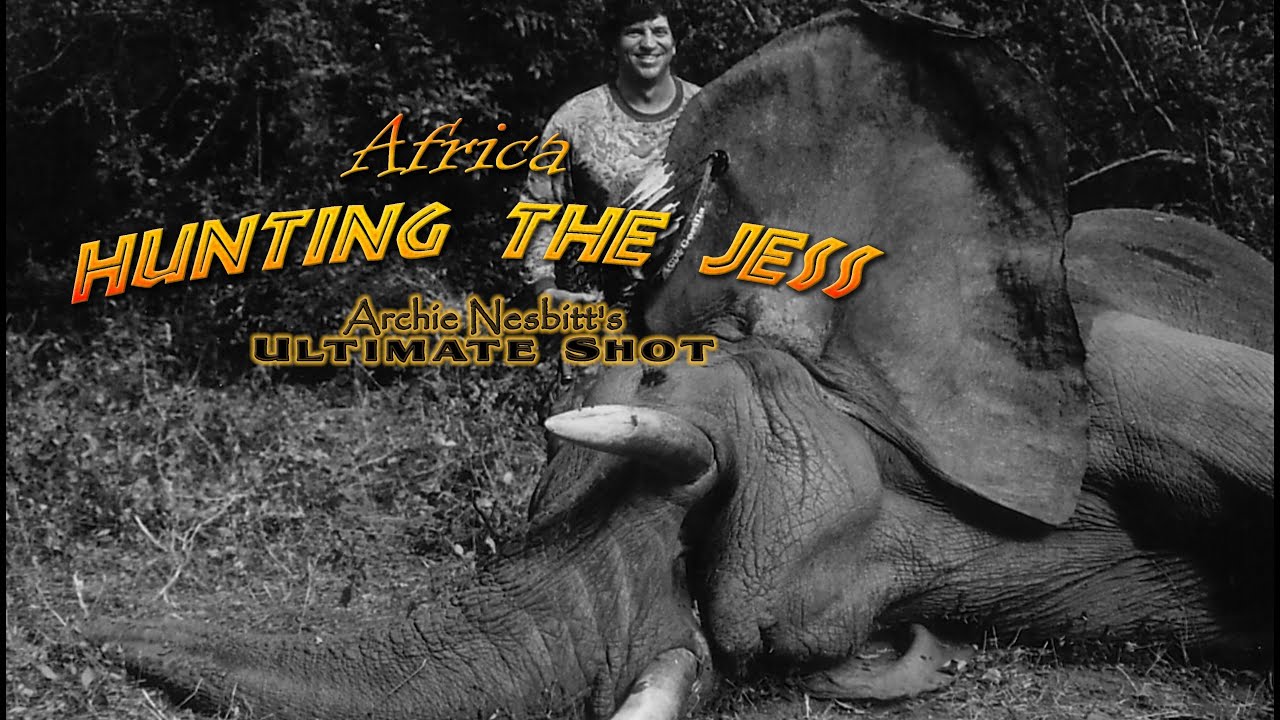 Elephant Bow Hunting