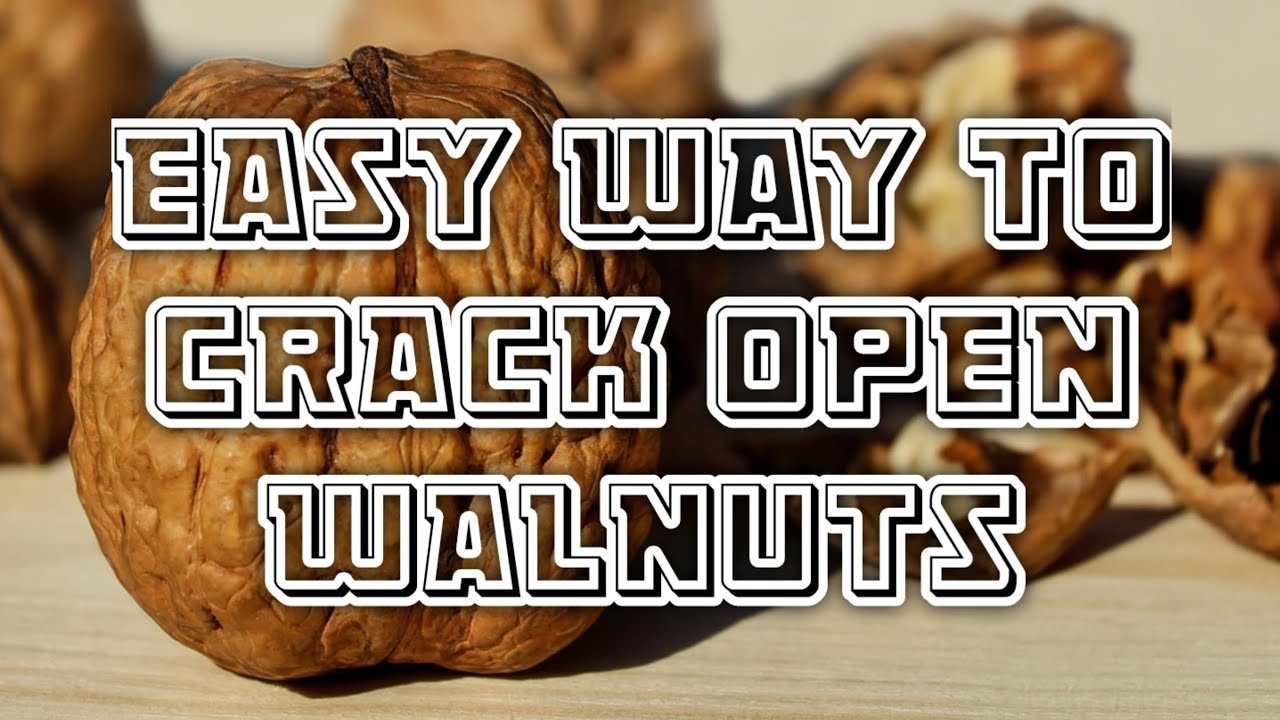 how to crack open walnuts easily #tips #hacks #tipsandtricks #tip # ...