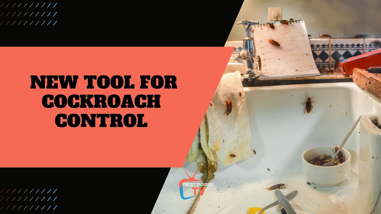 New Tool for Cockroach Control - YouTube