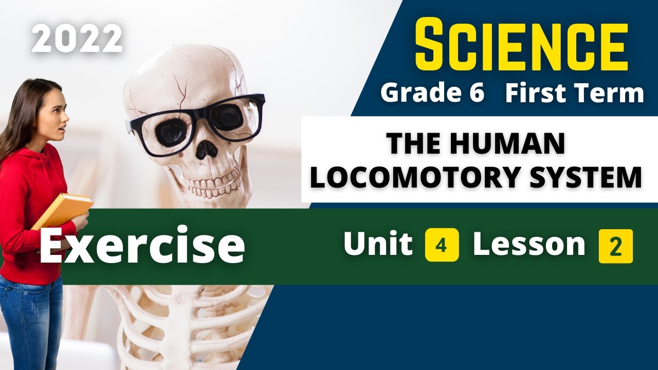 SCIENCE | Grade 6 | The Human locomotory system | Unit 4 - Lesson 2 ...