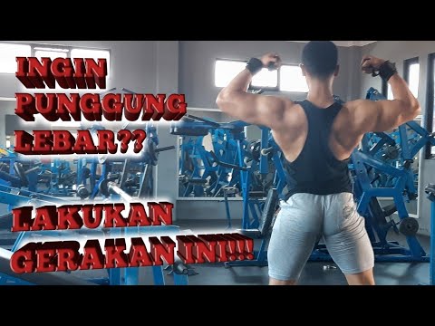 Cara Melatih Otot Punggung ( Back Muscle ) Untuk Pemula | Part 1 - YouTube