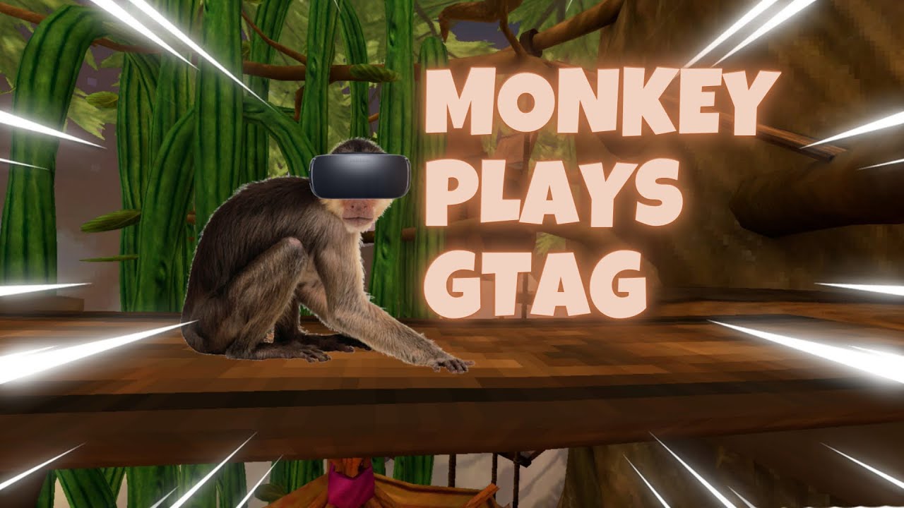Monkey plays Gorilla Tag... - YouTube