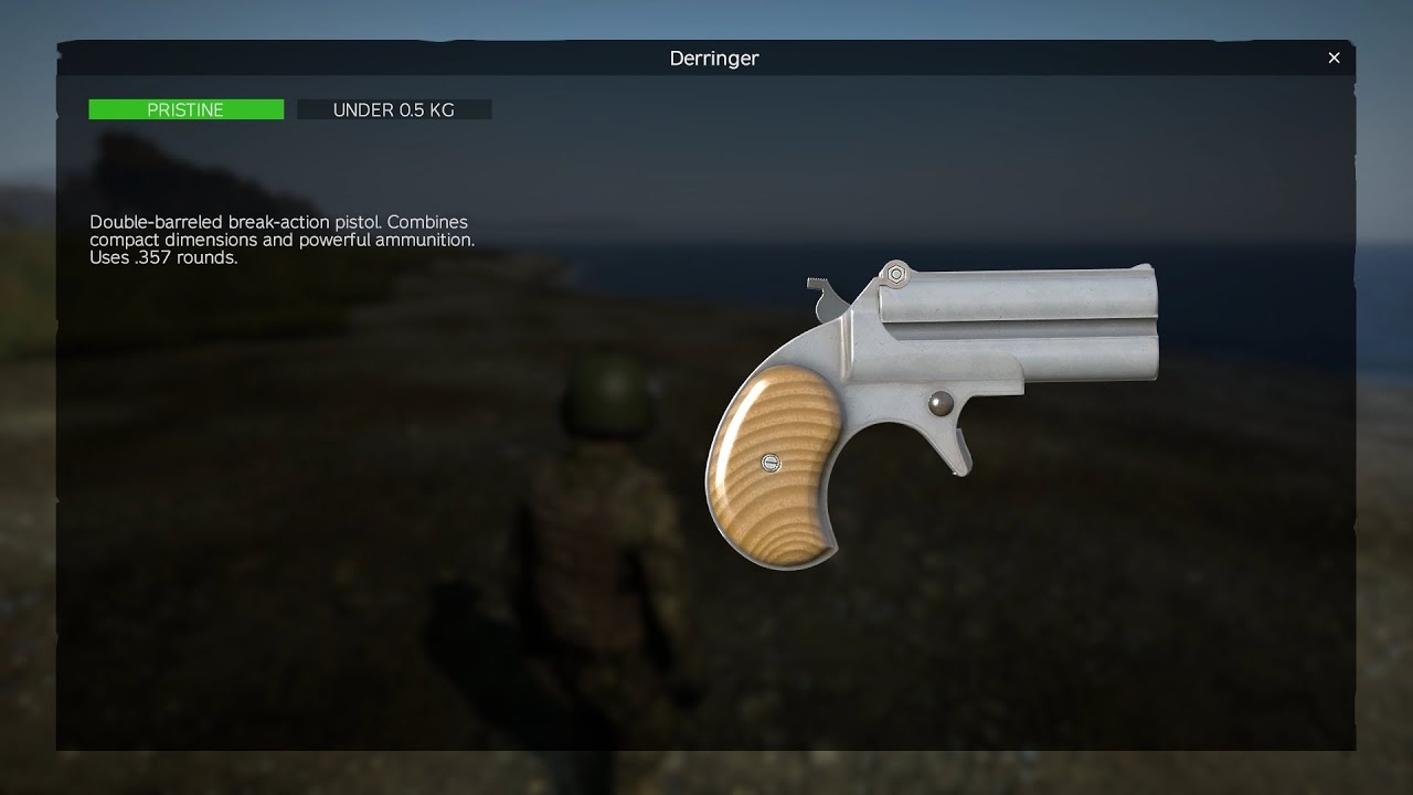 DayZ — Derringer - YouTube