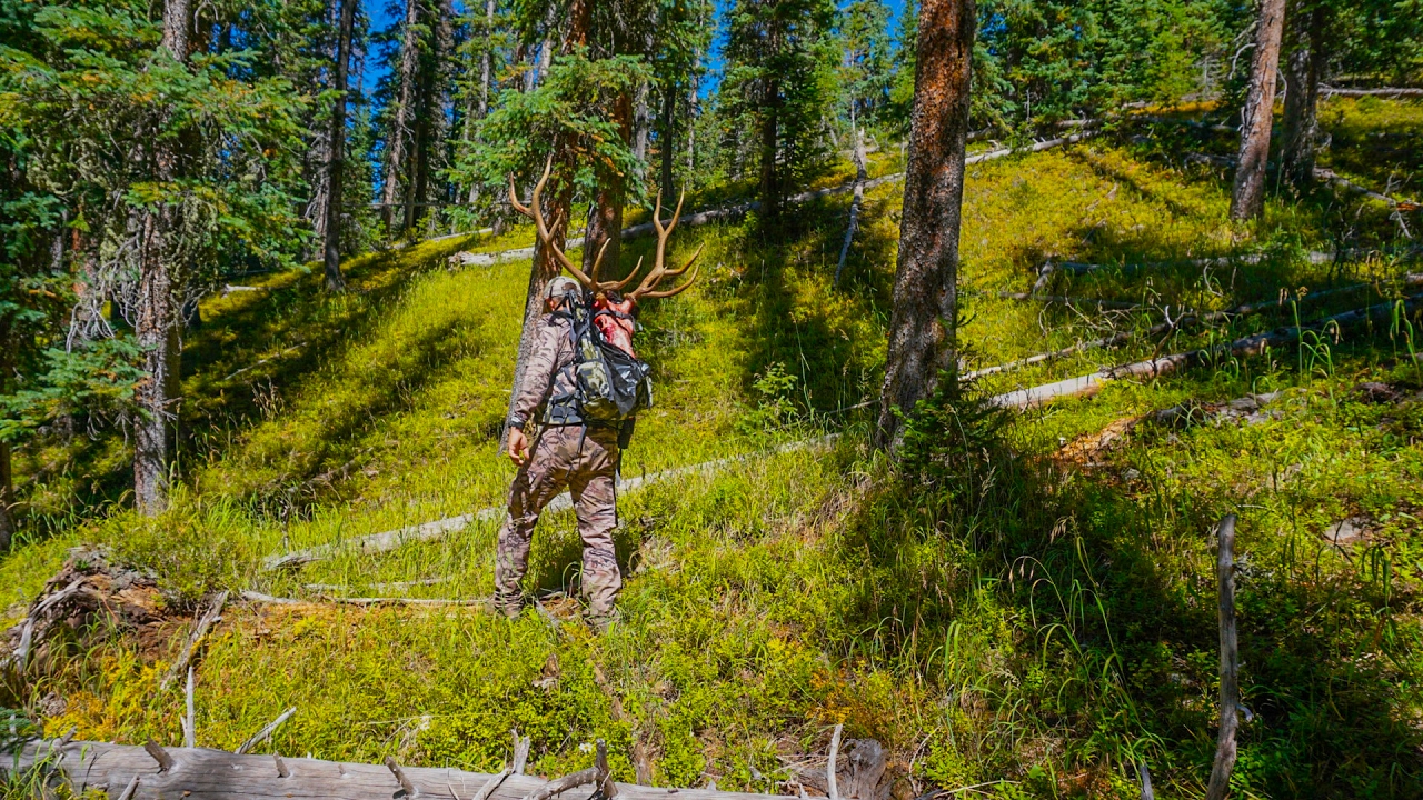 2016 Backcountry Elk Hunt YouTube 2016-backcountry-elk-hunt-youtube