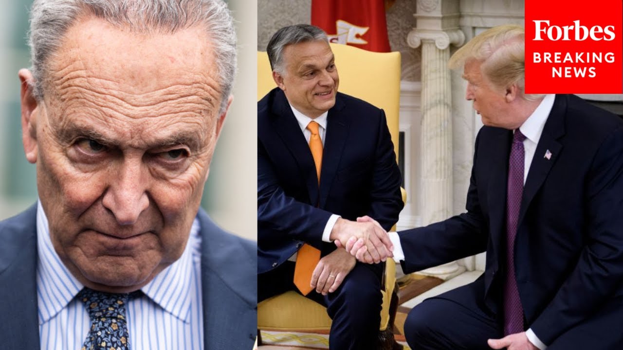 'Disgusting': Chuck Schumer Slams Trump For Fraternizing With Hungary ...