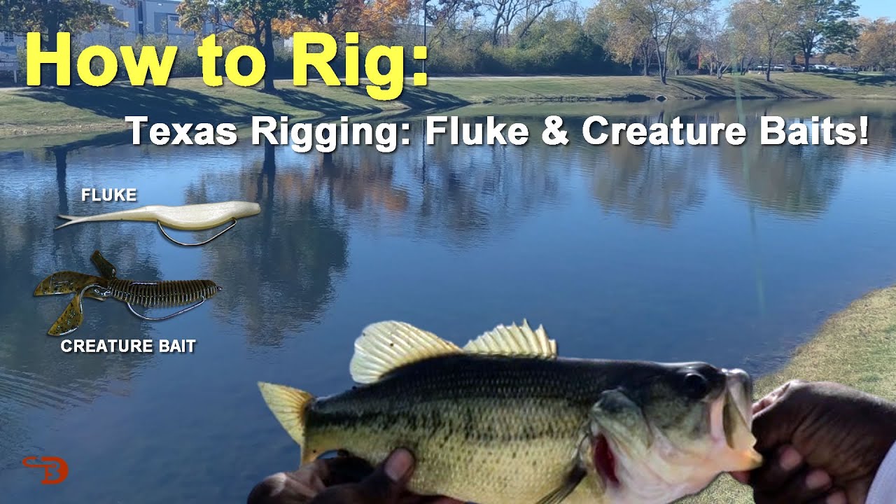 Weekly Journey: Rigging Fluke & Creature Baits for Pre-Spawn Bass ...