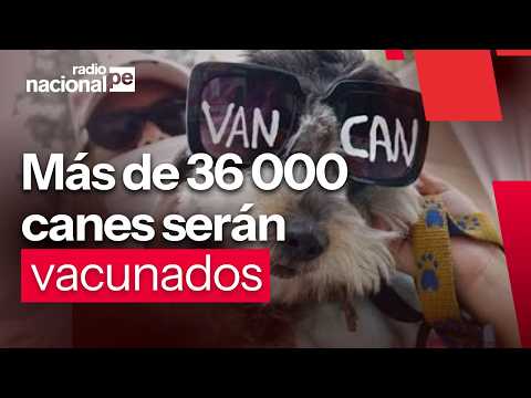 Tacna inicia campaña para vacunar gratis a más de 36 000 perros contra la rabia