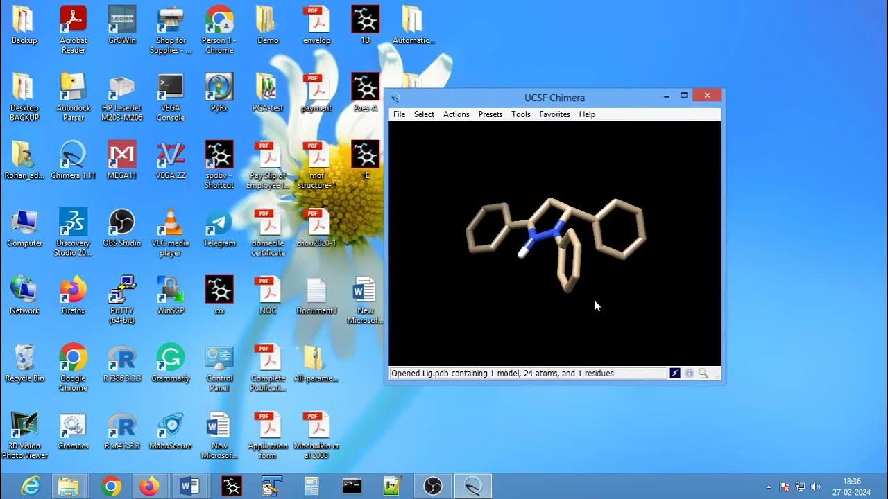 Day2: Protein ligand simulation (parameterization, setting up and running the simulation) - YouTube