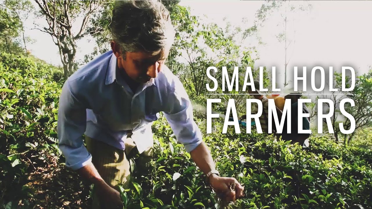 Small Hold Farmers - YouTube