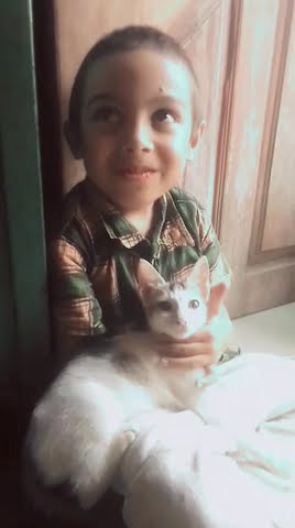 musa baba #cat #cutebaby #catlover - YouTube