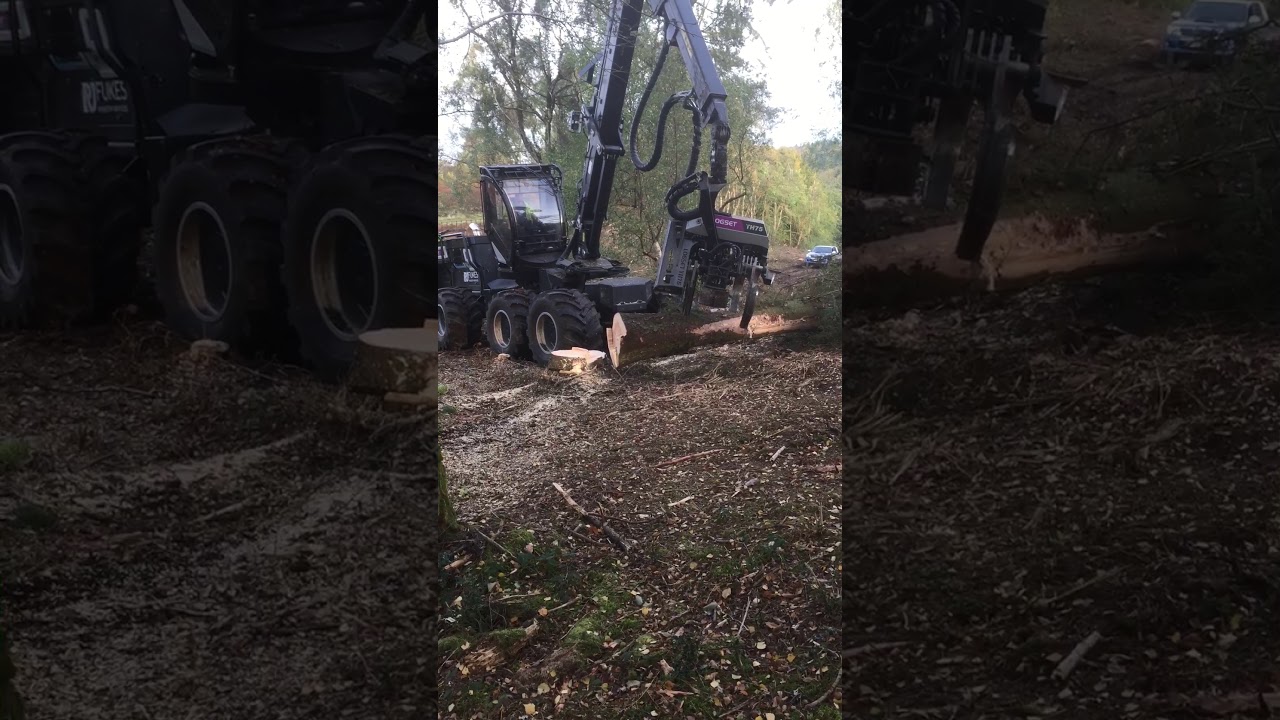 Mid Somerset forestry, logset harvester, Darren Smith - YouTube