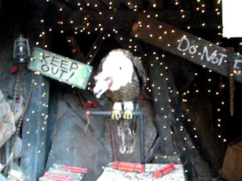 Dollywood Talking Buzzard October 2010 - YouTube