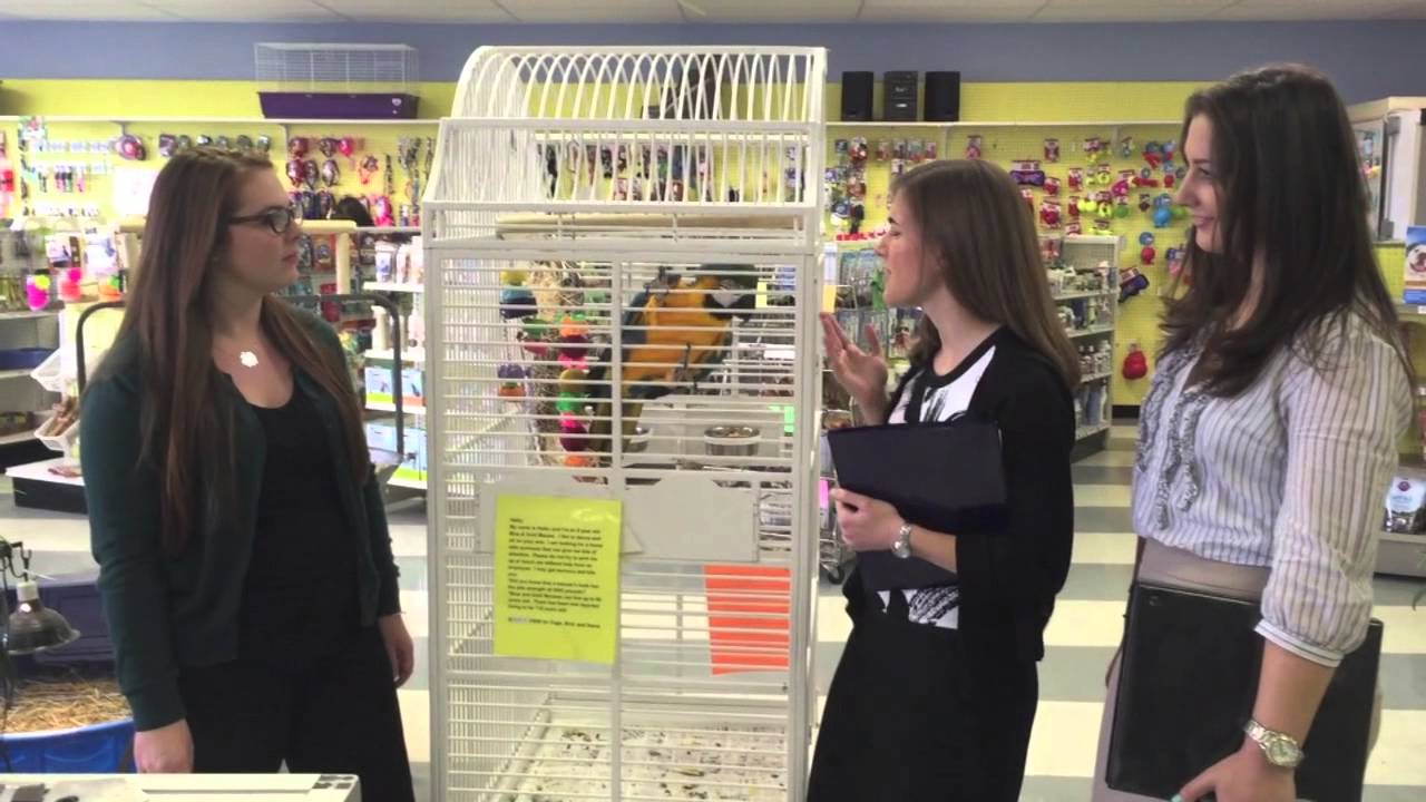 Sylvia's Pets Inventory Observation - JMU ACTG 410 - YouTube