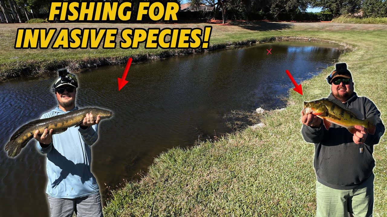 I Could NOT Believe I Caught This INVASIVE Fish On The First Cast ...