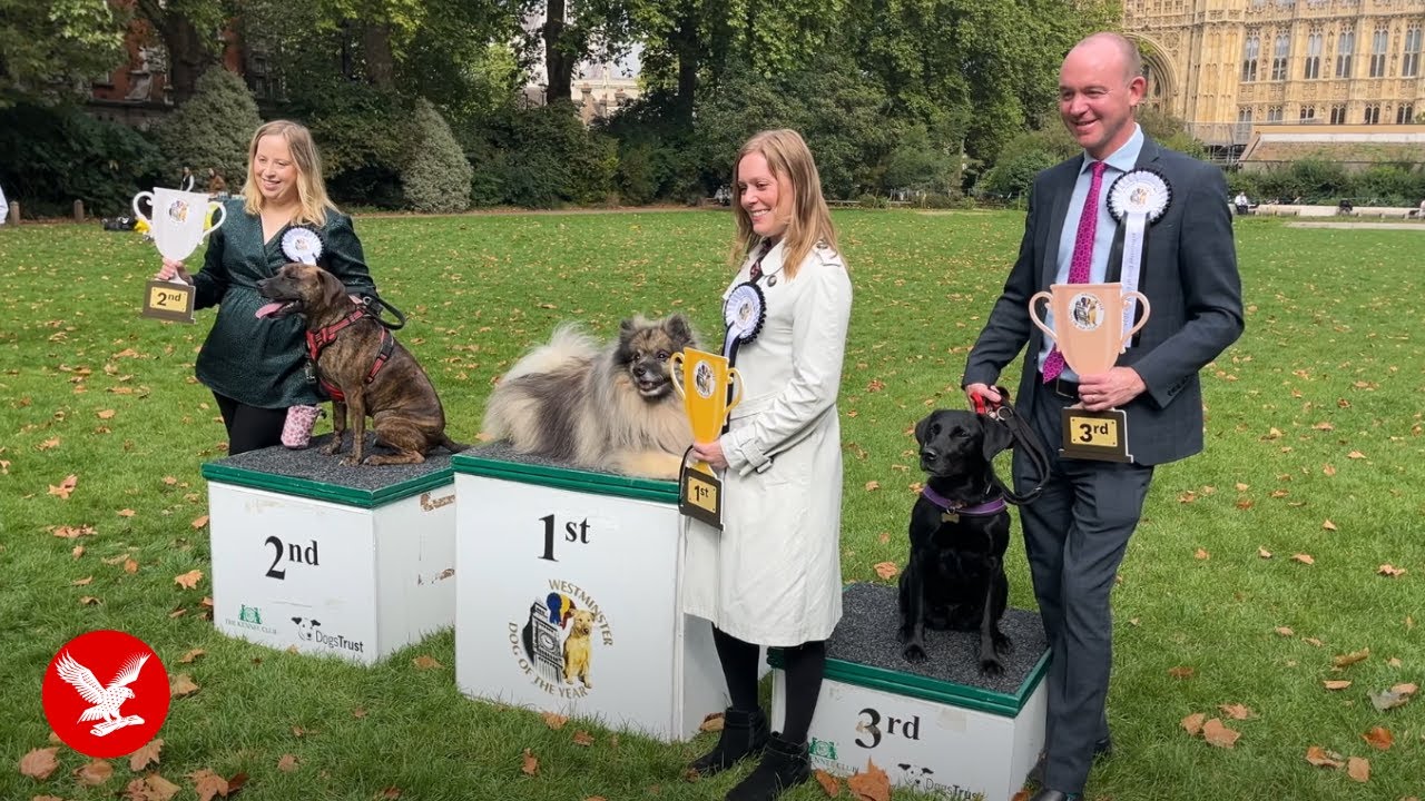 MPs unite across party lines over shared love of dogs - YouTube