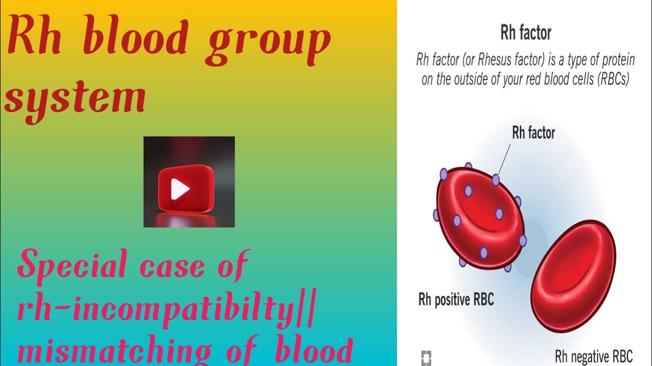 Rh blood group system - YouTube
