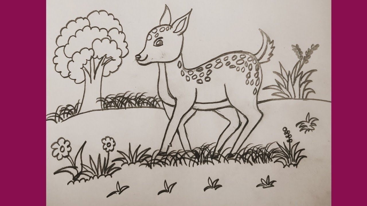 Deer Scenery drawing/How to draw a Beautiful Deer in Forest/Sketch ...