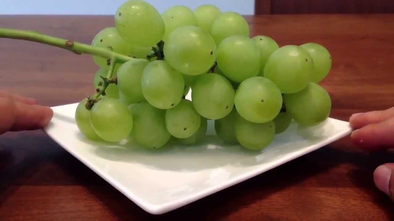 TOMITA vineyard : Honey Venus (Grape) - YouTube