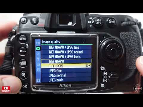 What Are Settings On The D300s? - YouTube
