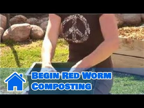 Composting : How to Begin Red Worm Composting - YouTube