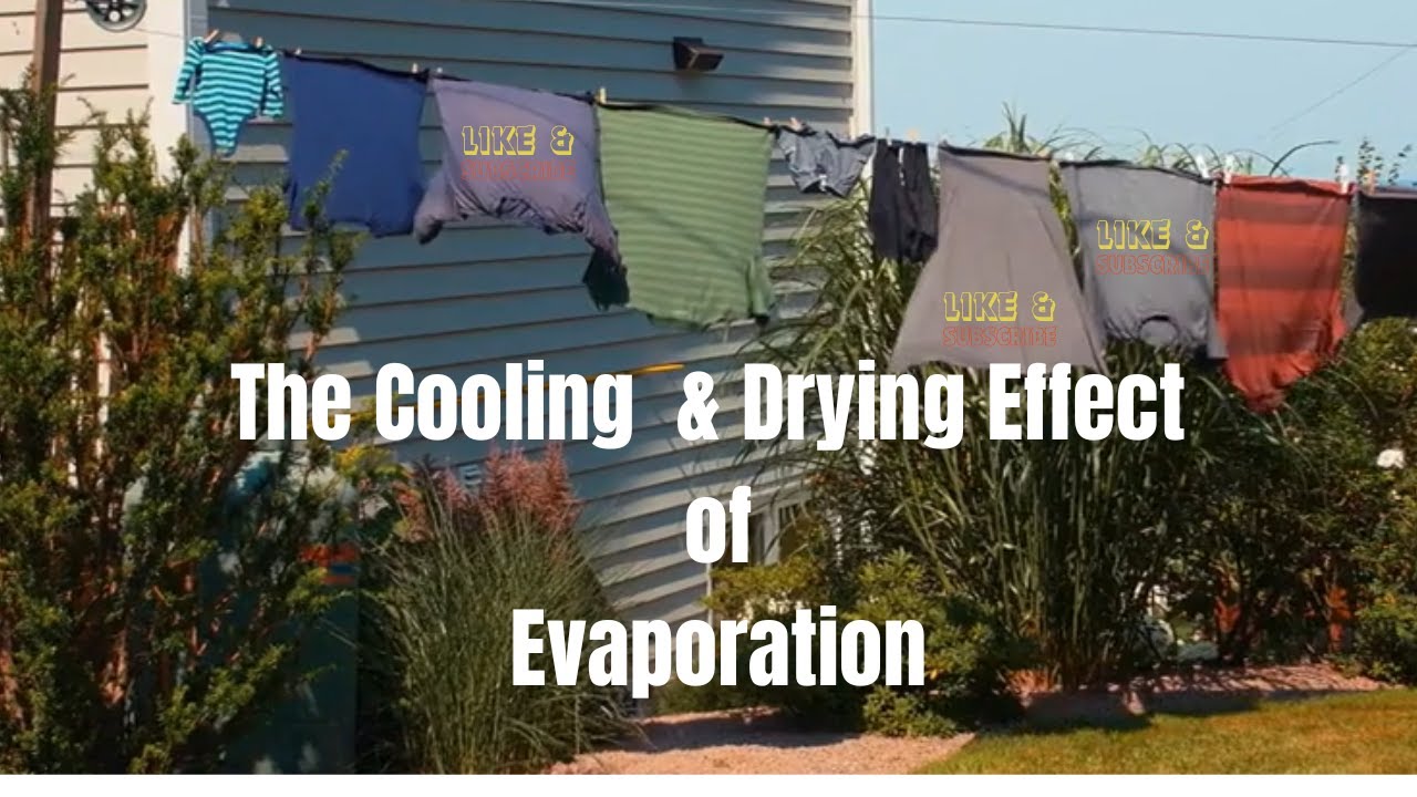 Evaporation: The Science Behind it - YouTube
