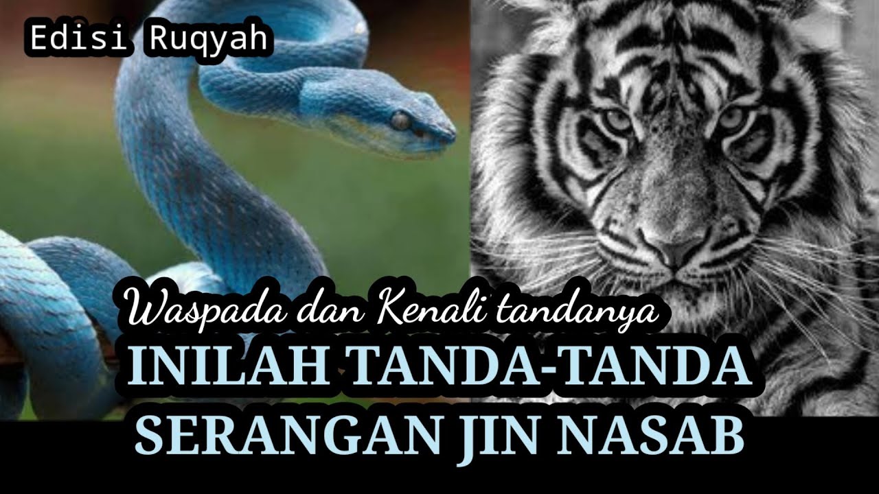 TANDA SERANGAN JIN NASAB/SAKA - YouTube