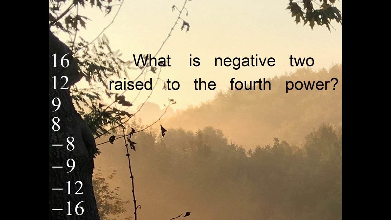 What Is Negative 2 Raised To The 4th Power 16 12 9 8 8 9 12 what-is-negative-2-raised-to-the-4th-power-16-12-9-8-8-9-12